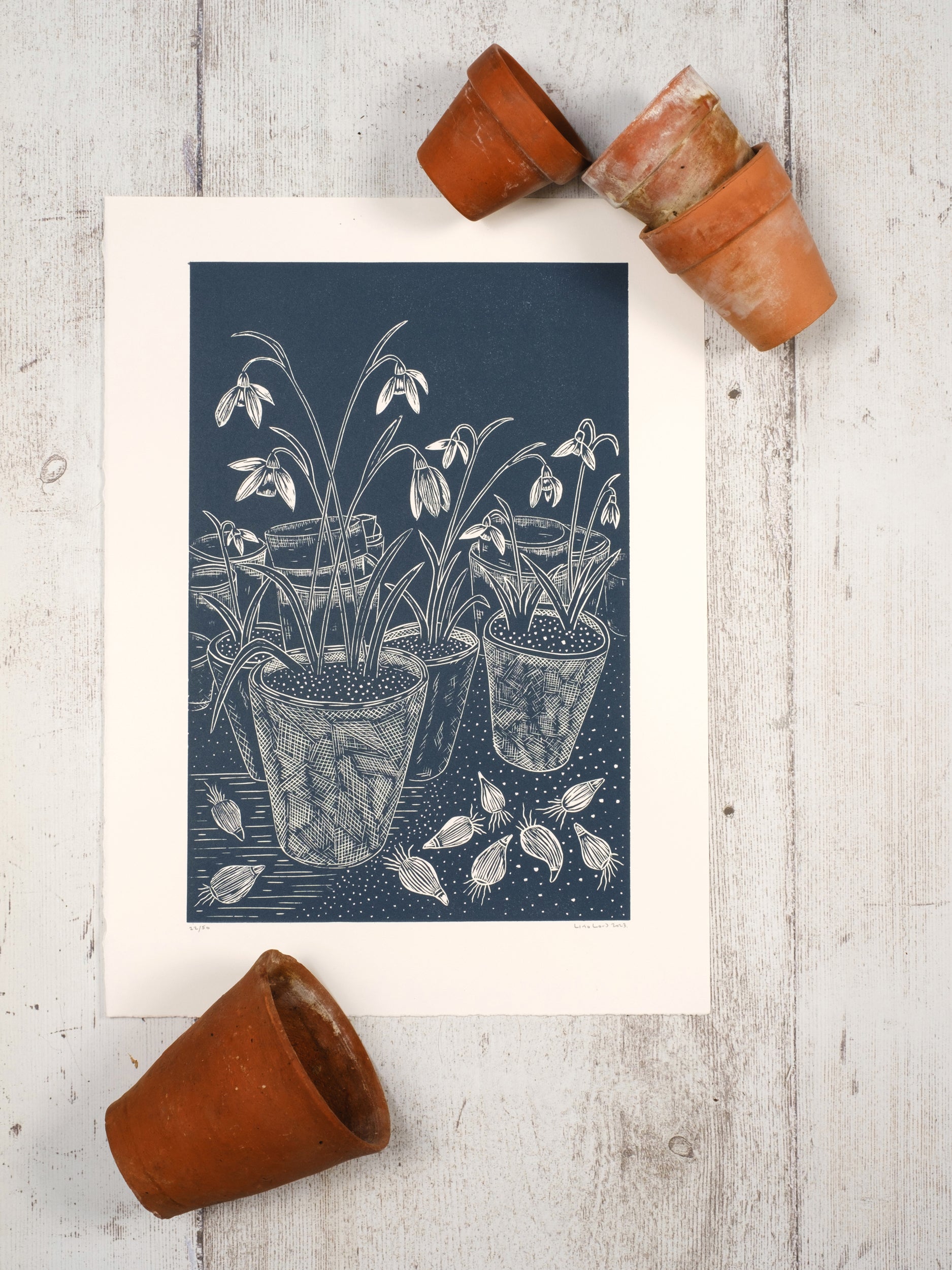 Linoleum Print Designs